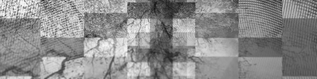 Shows – Modular Station